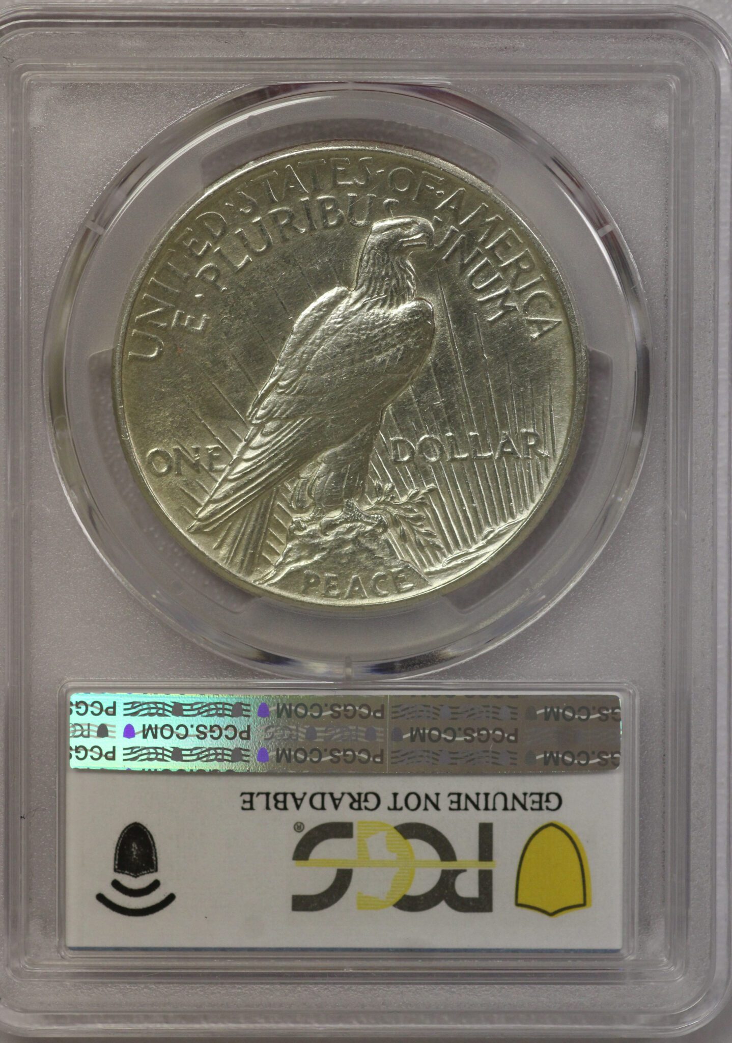 1921 Peace Dollar PCGS AU Details Cleaned – Portsmouth Coin & Currency Co